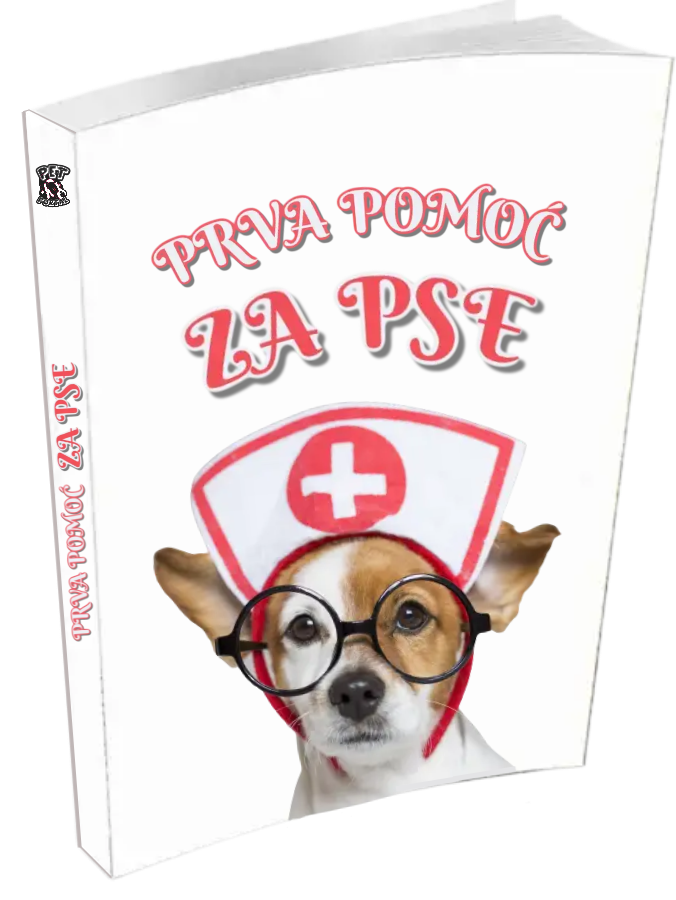 PET FRIENDLY VILLE, KUĆE I APARTMANI - PET PORTAL
