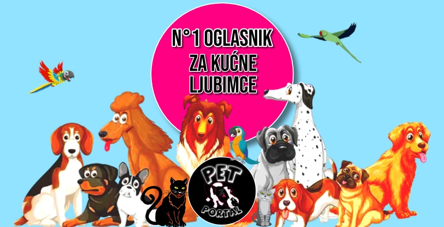 PET PORTAL N°1 OGLASNIK ZA KUĆNE LJUBIMCE - PET PORTAL
